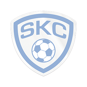 185417 Shield Sticker | 3" x 3"| Clear Static | Static Back | Screen